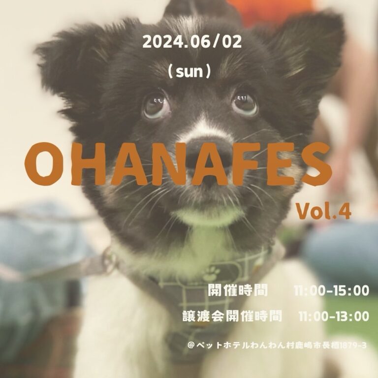 みんな集まれ！OHANAわんにゃんフェスinわんわん村 vol.4 – NPO法人わんにゃんレスキューOHANA