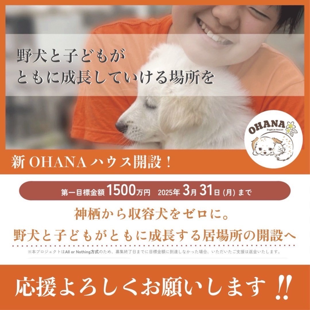 【新OHANAハウス クラウドファンディングのお知らせ】 – NPO法人わんにゃんレスキューOHANA